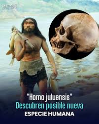 „Juluren”, specia de hominizi cu cele mai mari creiere din istoria ...